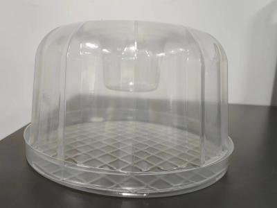 China Customized transparent round lid PET vacuum formed plastic cake embryo shaping container for sale