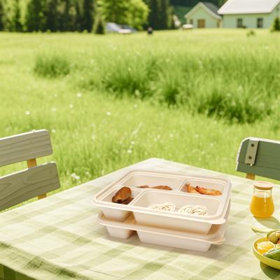 China Corn Starch Lunch Food Container with Compartment Eco Friendly Packaging Disposable Biodegradable Cornstarch Lunch Box for sale