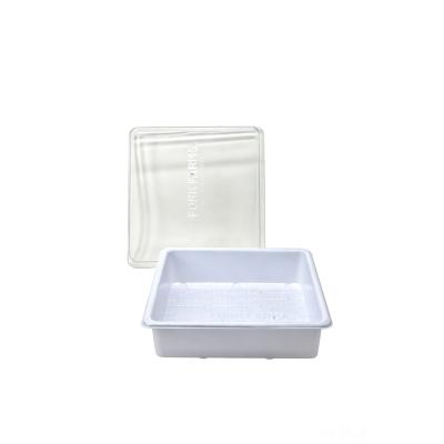 China Customized White PET Square Green Micro Plant Hydroponic Cat Grass Seed Cultivation Tray With Transparent Lid for sale