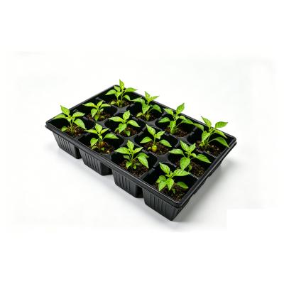 China Customized 12 Grid Vacuum Formed Plastic Thickened Black PP Plant Seed Seedling Planting Tray With Holes for sale