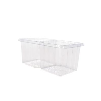 China 2 square PET transparent blister tray with transparent cover for biscuit inner tray for sale