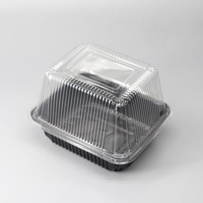 China Black PS perforated bottom tray transparent PET high cover bean sprout cultivation and planting sales box for sale