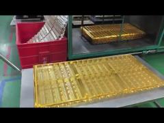 12 Holte Plastic Chocolate Verpakking Gouden Chocolate Blister Verpakkingsbak