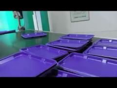 Customized purple rectangular PS plastic vacuum formed food mushroom tray