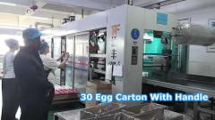 A Closer Look: Disposable 30 Holes Plastic Egg Cartons Lightweight Blister With Handle