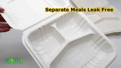 1000ml 3 Compartments PP Disposable Food Container Takeaway Lunch Box for Catering