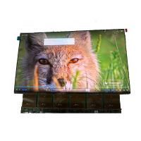 Quality EDO 21.6 Inch AM OLED Display Module Touch Screen Panel 3840x2160 UHD EM60UBL63 for sale