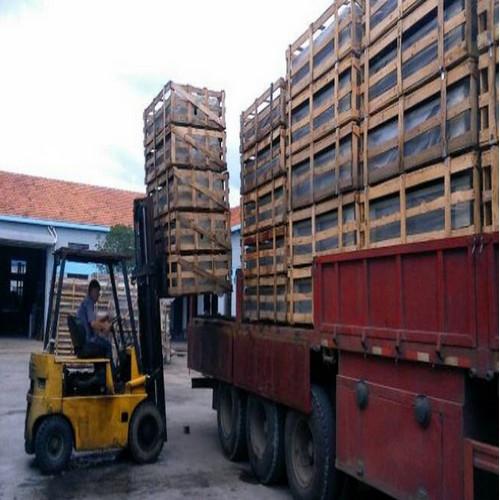 Fornitore cinese verificato - Star-Worths Refrigeration Co.,Ltd