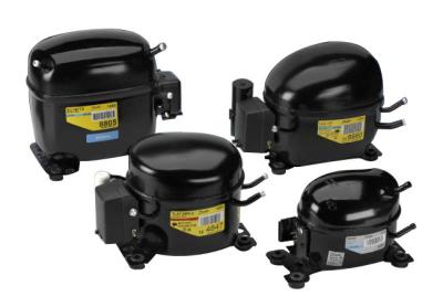 Cina Compressore di Danfoss Secop Protable Refeezer per la famiglia dell'ETB, di MBP, di HBP e l'annuncio pubblicitario leggero 230V 60HZ in vendita