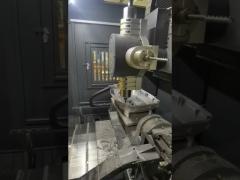 Polipi automatici