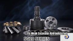 SG20 Hydraulic Pump Repair Kit Cylinder Block Valve Plate Piston Shoes Excavator Aftermarket Replace