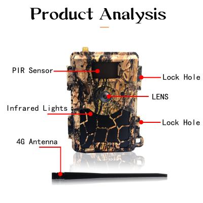 Cina Video di Sim Card Trail Camera Sensor di energia solare della macchina fotografica della fauna selvatica di 24MP LTE Cellula 4g in vendita