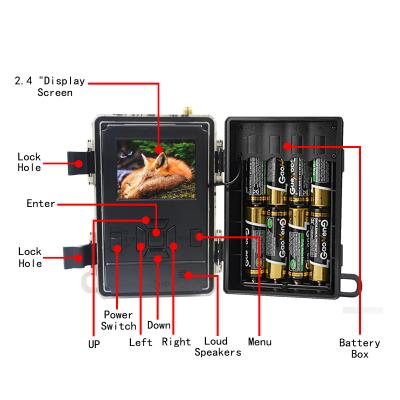 Cina Video di Sim Card Trail Camera Sensor di energia solare della macchina fotografica della fauna selvatica di 24MP LTE Cellula 4g in vendita