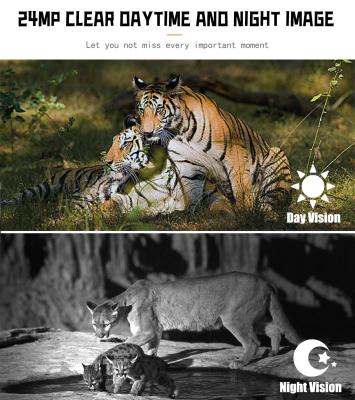 Cina Video di Sim Card Trail Camera Sensor di energia solare della macchina fotografica della fauna selvatica di 24MP LTE Cellula 4g in vendita