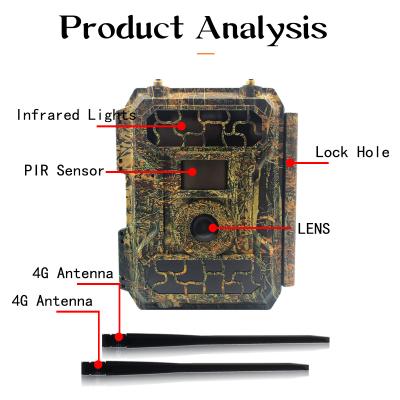 Cina Macchina fotografica alimentata solare impermeabile 4g della traccia 1080p di 16MP Mobile Trail Camera IP66 in vendita