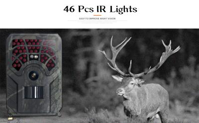 Cina PR300C WIFI  Hunting Camera i1296P IP54 Warterproof PIR wireless APP in vendita