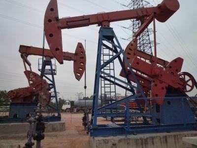 China API Oilfield Production Equipment , Oil Pump Jack C228D-246-86 for sale