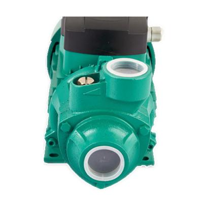 Cina Miglior prezzo 1 pollice 220 Volt Qb60 0.5 Hp 0.75hp 1hp Domestico Giardino Motore elettrico Vortex Pompa d'acqua in vendita