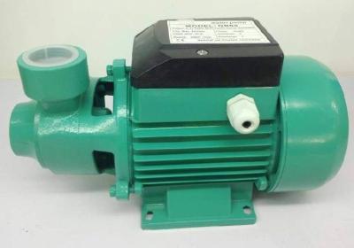 Cina Miglior prezzo 1 pollice 220 Volt Qb60 0.5 Hp 0.75hp 1hp Domestico Giardino Motore elettrico Vortex Pompa d'acqua in vendita