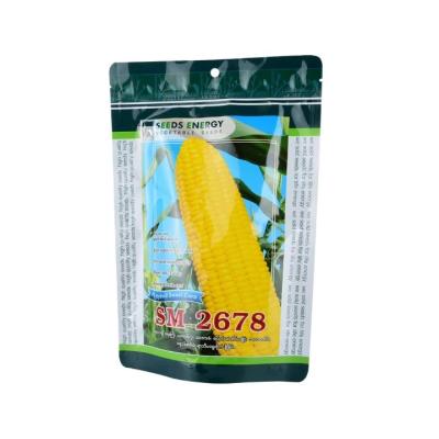 China Block Bottom Retail Large Snack Packaging Bags Chocolate Use With Window Custom Printed for sale