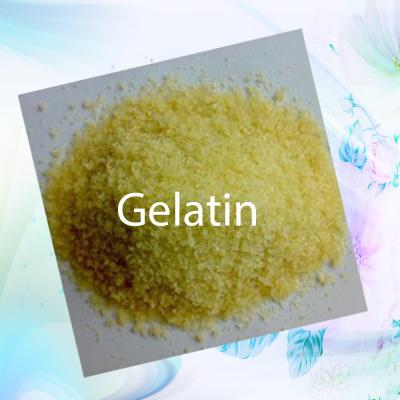 China 99%   Shandong   thickener gelatin   CAS:9000-70-8 for sale