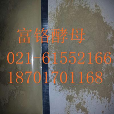 China Nutritional additive chromium rich yeast character: yellowish powder content 0.2% for sale