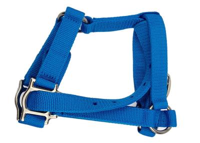 China Saddlery supplies 1