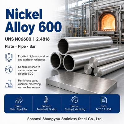 China Nickel Alloy 600 | UNS N06600 | 2.4816 | Inconel 600 for sale