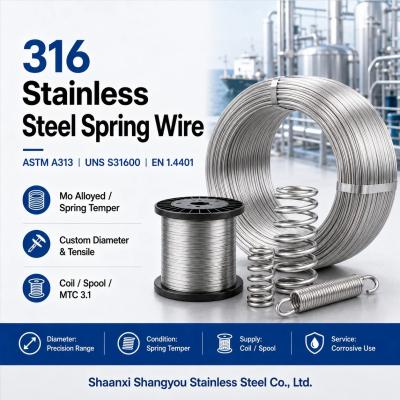 China ASTM A492 316 Stainless Steel Rope Wire for Marine Cable Stranding
SEO TDK for sale
