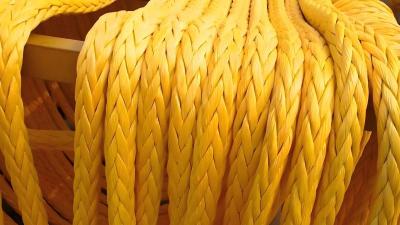 Cina Fune sintetiche industriali Uhmw ad alta longevità resistenti ai raggi UV, fune UHMWPE personalizzata in vendita