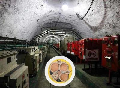 Cina Cavo di alimentazione dinamico per alimentatore di carbone in movimento - Flesso continuo, conduttore ad alto conteggio dei fili, rinforzato dalla tensione in vendita