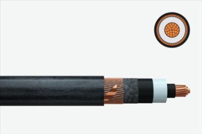 中国 FEICHUN AJ-2Y(L) 2Y2YDB2Y 誘導保護付き鉄道信号ケーブル 販売のため