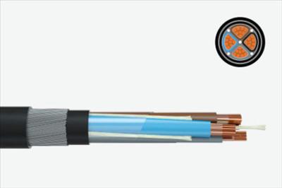 Cina NTSCGECWOEU High-Flex Cable Systems: Advanced Electrical Connectivity for Massive Industrial Equipment Across Global Extraction and Logistics Platforms (Sistemi di cavi ad alta flessibilità: connettività elettrica avanzata per attrezzature industriali di grandi dimensioni su piattaforme globali di estrazione e logistica) in vendita