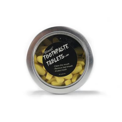 Cina Delicatamente vegano di erbe che pulisce le compresse masticabili del dentifricio in pasta per viaggiare in vendita