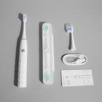 China Ultra Sonic Rechargeable Smart Timer Teeth Whitening Brush For Bathing for sale