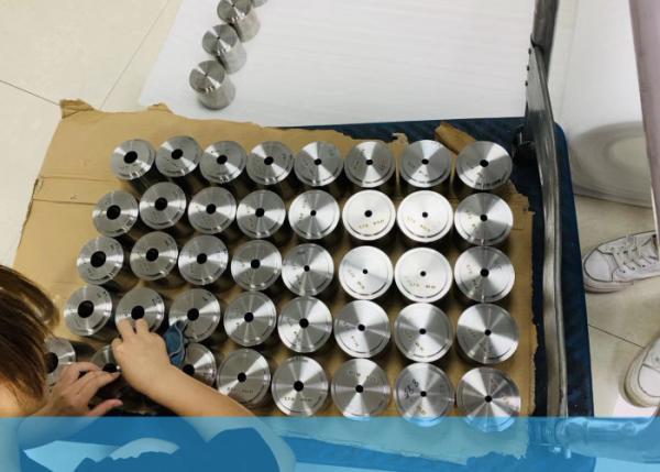 Extrusionsspitze und -form mit Festwolframkarbid, Stahl mit Wärmebehandlung