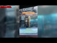 Cantilever 2HP 100rpm Cable Twisting Machine Wire Making Machinery