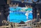 China CAILIANG D Series Indoor P3 LED Display Module 220V Input Voltage for Customized Solutions for sale