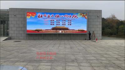 中国 屋外広告ソリューション CAILIANG 高画質D4フルカラーLEDディスプレイストリップ 販売のため