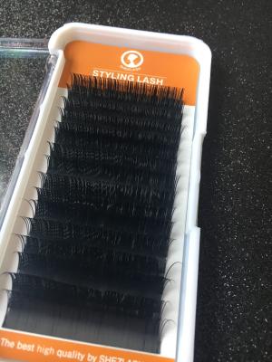 China 0.25mm width 4mm-20mm lengths D curl eyelashes extension with korea silk for sale