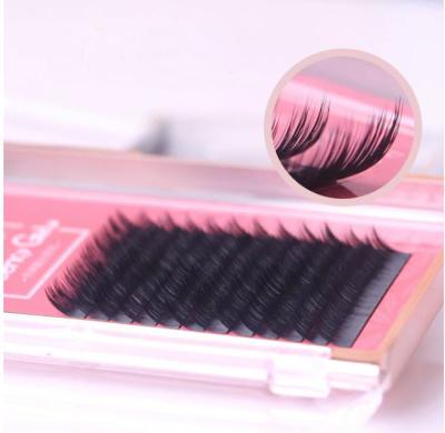 China Easy to Fan Private Label 0.03/0.05/0.07 Russian  Volume Lashes Eyelashes Extensions for sale
