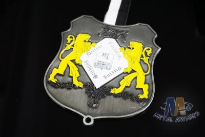 China Small Two Lions Logo Enamel Medals Custom Made For Festival Water Proof for sale