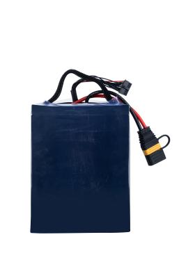 Cina Lipo UAV Drone Batteria 25C Soft Pack Herewin 12S 44.4V 22000mAh in vendita