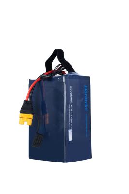 Cina Lipo UAV Drone Batteria 25C Soft Pack Herewin 12S 44.4V 22000mAh in vendita