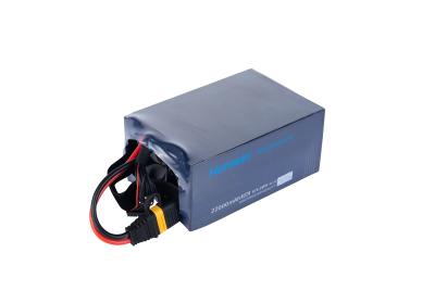 Cina Lipo UAV Drone Batteria 25C Soft Pack Herewin 12S 44.4V 22000mAh in vendita