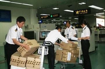 China customs clearance service that export wines to China Qingdao inspection logistics freight air sea truck shipping service for sale
