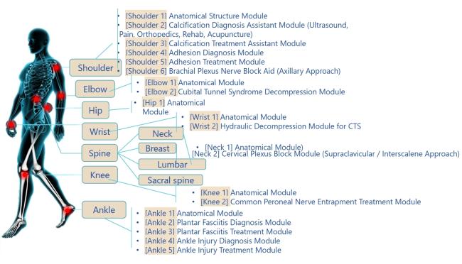 AI_ultrasound_system_supported_clinical_modules