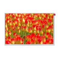 China 4 Inch Tft Lcd Module 480x480 Resolution High Brightness Wide Viewing Angle for sale