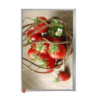 China 10.1 Inch 1024x600 Resolution Lcd Tft Module With Sunlight Readable for sale