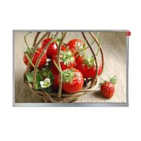 China 10.1 Inch Lcd Tft Module 1024x600 Resolution Wide Viewing Angle High Contrast for sale